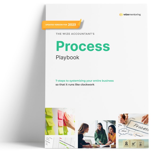 Process Playbook | Wize Mentoring
